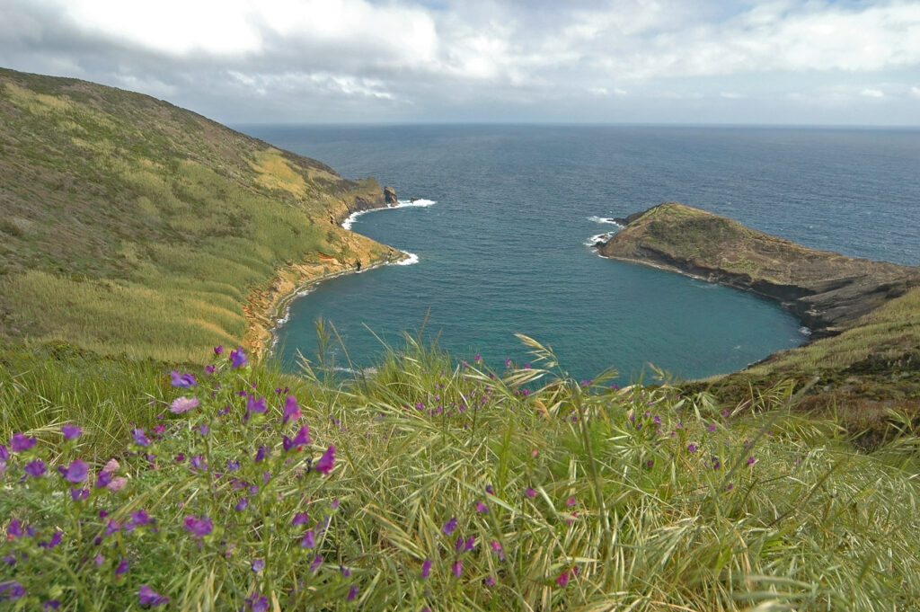 Monte da Guia – Explore Faial